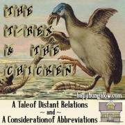 The T Rex and the Chicken | Happy Bungalow